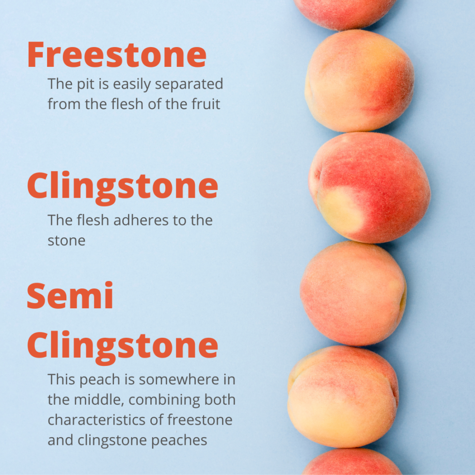 Peach Cobbler Shake - The Addy Bean