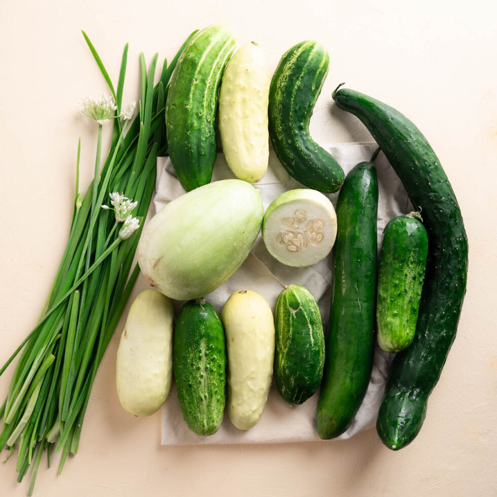 How To Make Easy Cucumber Chips In The Dehydrator | The Addy Bean
