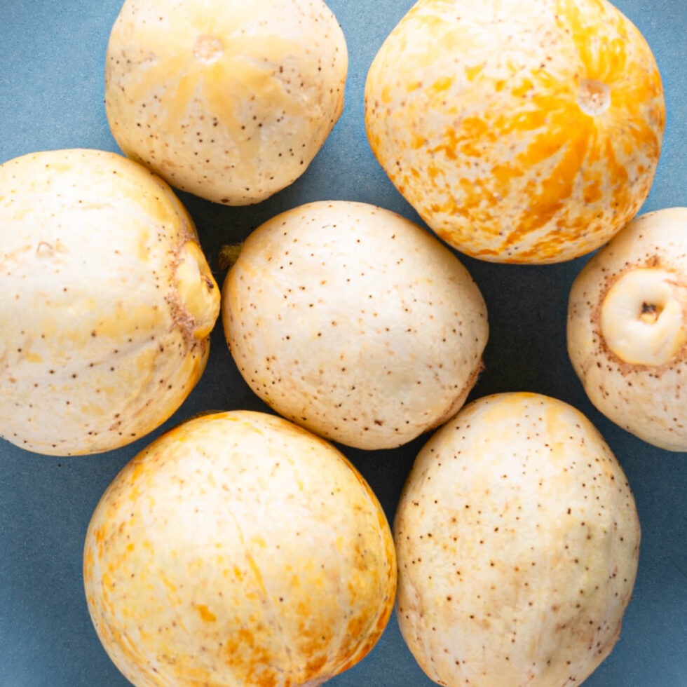 8 Must-Try Lemon Cucumber Recipes | The Addy Bean