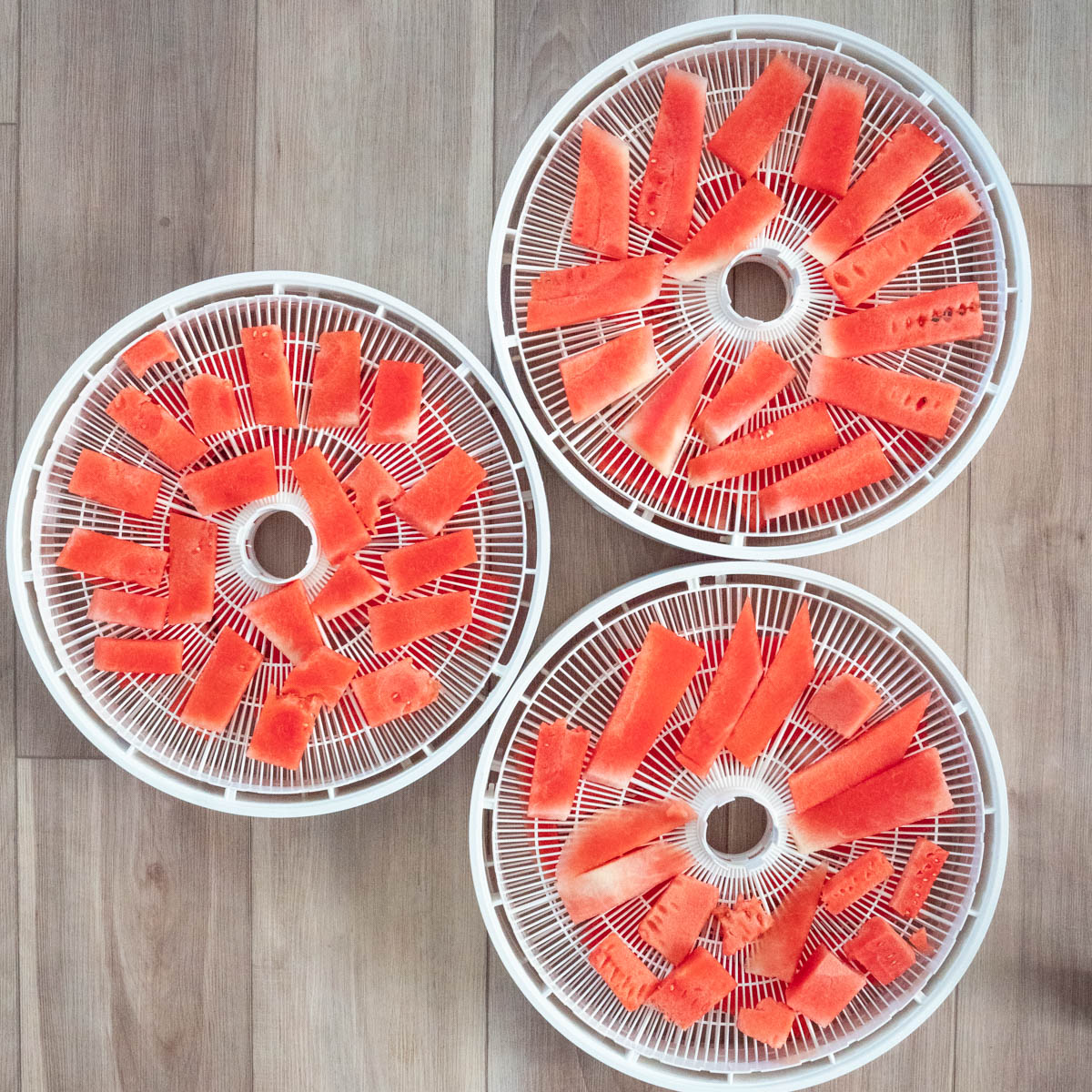 How To Make Dehydrated Watermelon For Watermelon Jerky | The Addy Bean