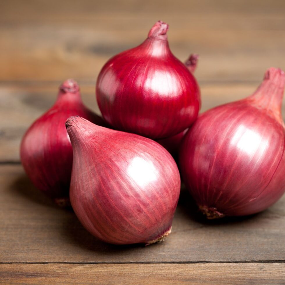 Best Onions For Chili and How To Use The Different Types | The Addy Bean