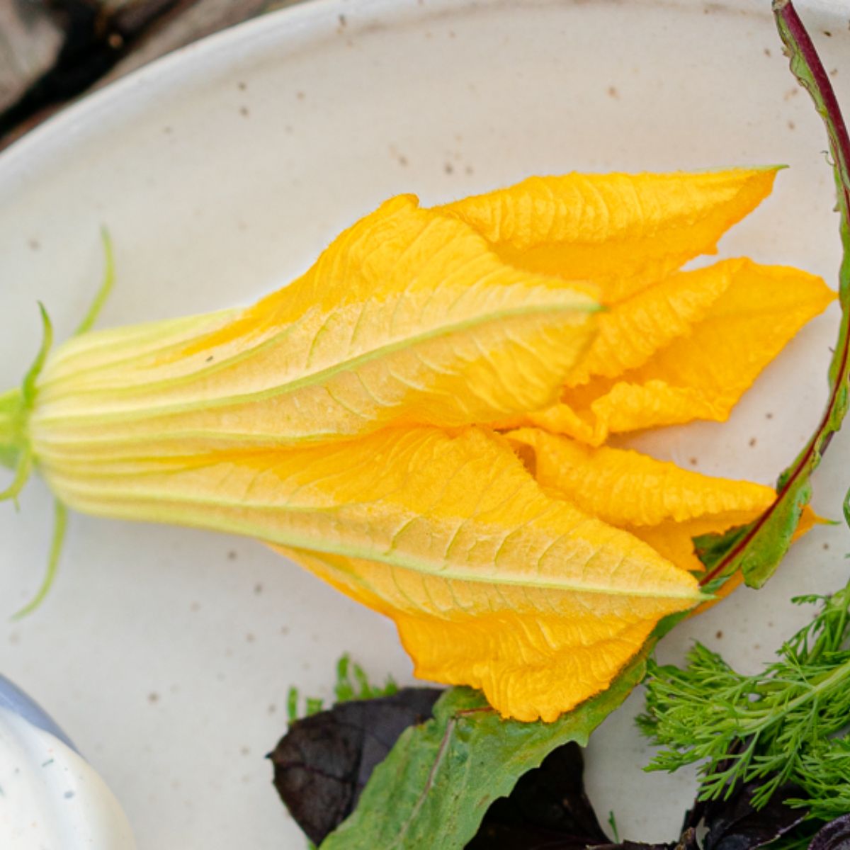 Zucchini Flower Fritters: A Healthy Squash Blossom Recipe | The Addy Bean