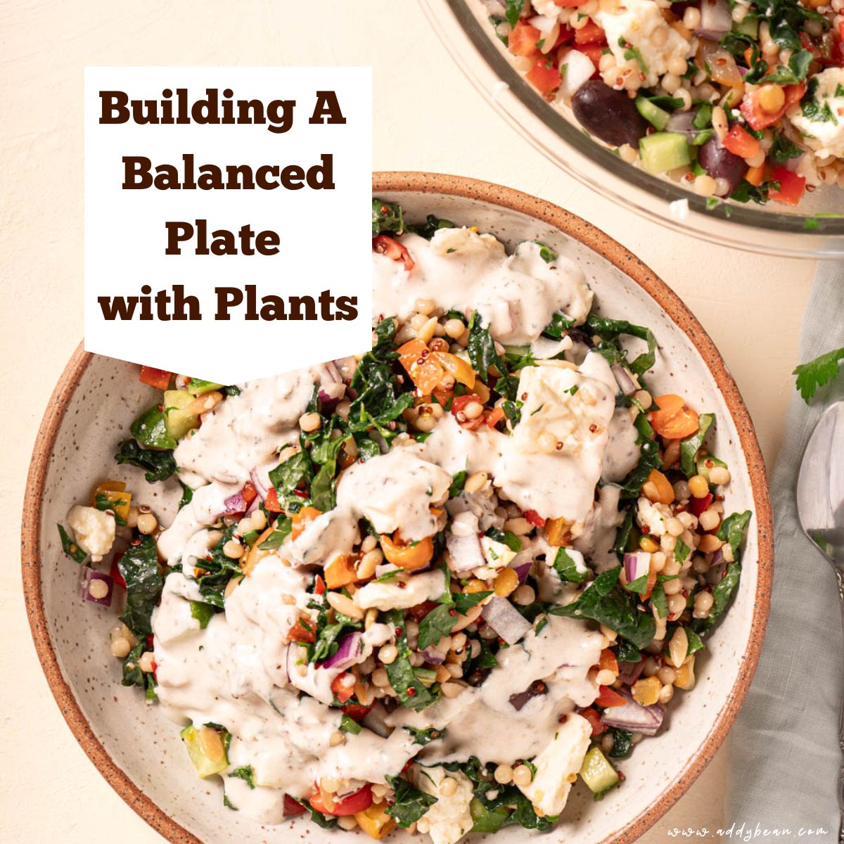 Building a Balanced Plate with Plants | The Addy Bean