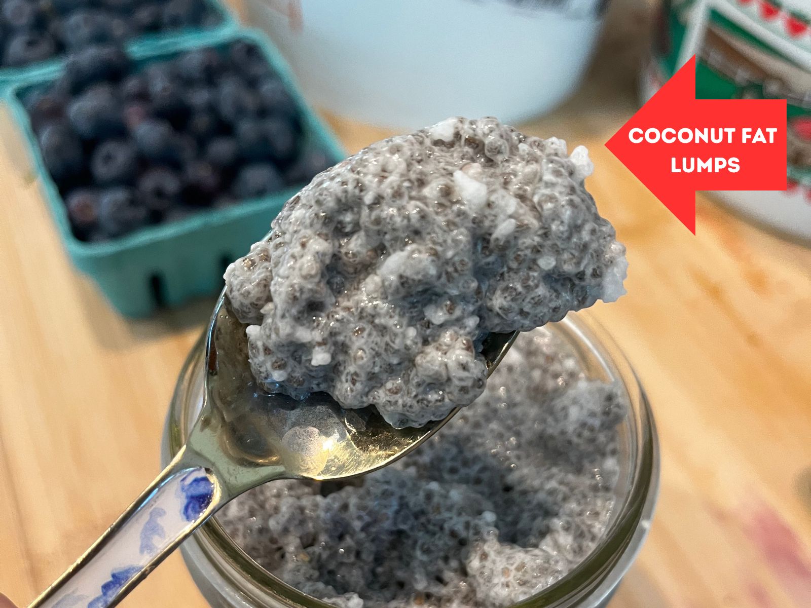 Coconut Milk Chia Pudding (Dairy-Free, Gluten-Free) | The Addy Bean